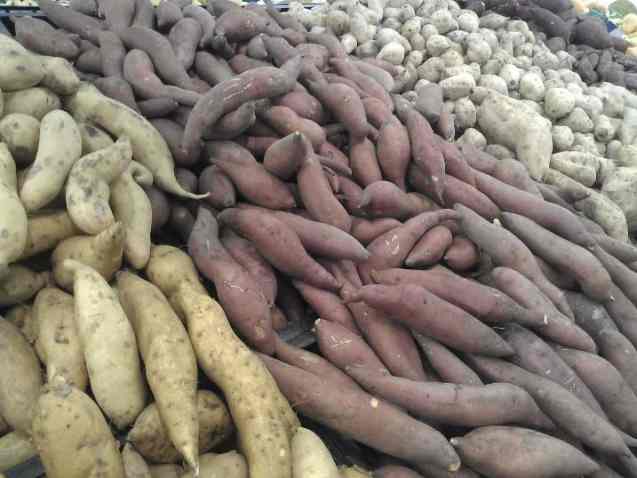 10 Root Crops Grown in the Philippines - Dengarden