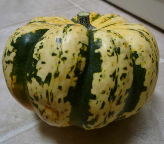 10 Very Unique Varieties of Winter Squash - HubPages