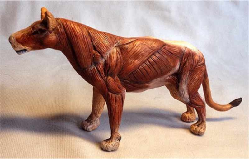 8 of the Most Amazing Savants in History - HubPages