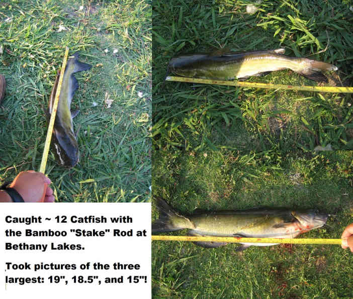 Fishing With Bread - HubPages