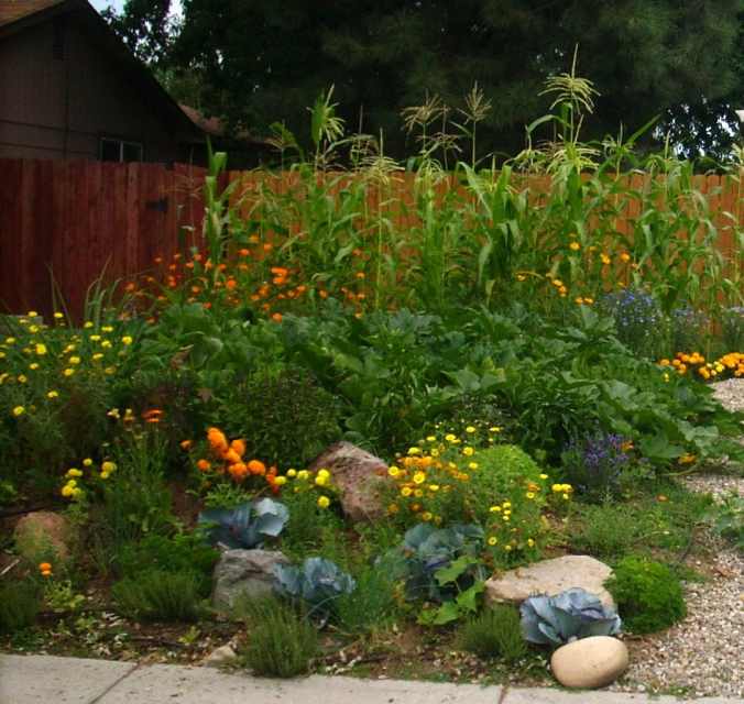 Designing a Color Palette for Your Edible Landscape - HubPages