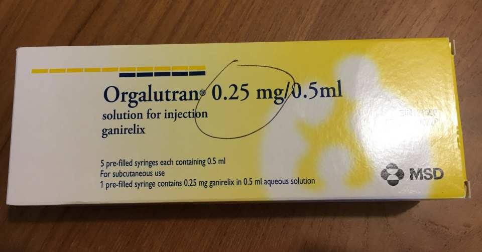 IVF Procedure: A Personal Step by Step Guide on the IVF Process - HubPages