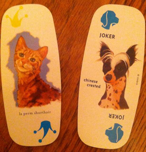 The Hobby of Collecting Playing Cards - HubPages