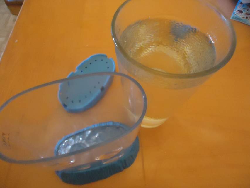 How to Grow Sea Monkeys From a Kit - HubPages