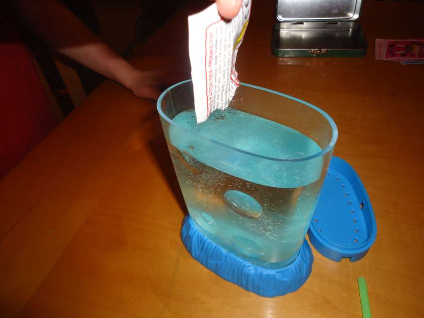 How to Grow Sea Monkeys From a Kit - HubPages