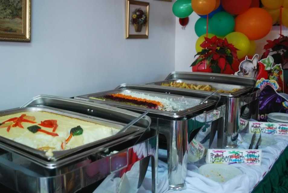 Extravagant Dog Birthday Parties: What Dog Owners Will Do for Love ...