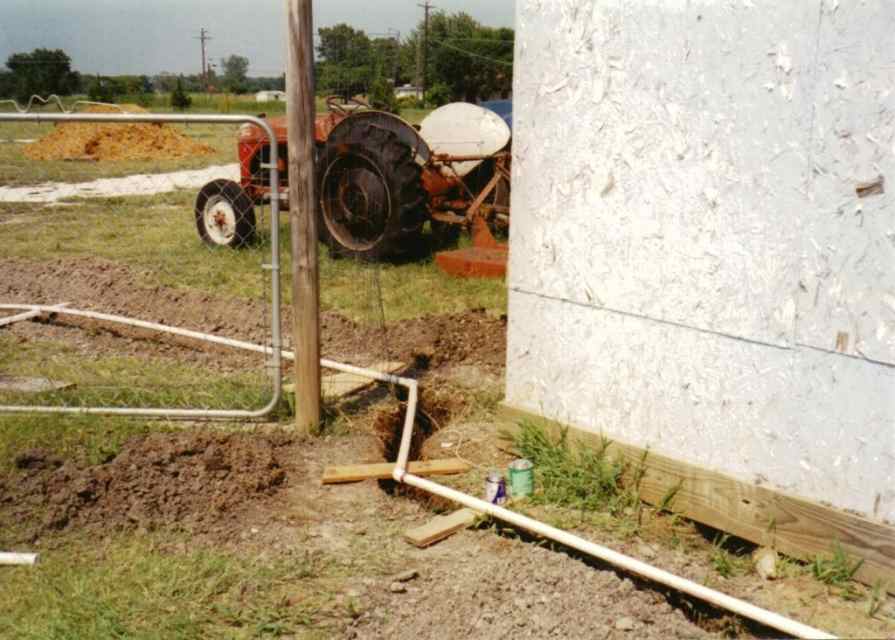 The Pros and Cons of Emu Farming - HubPages