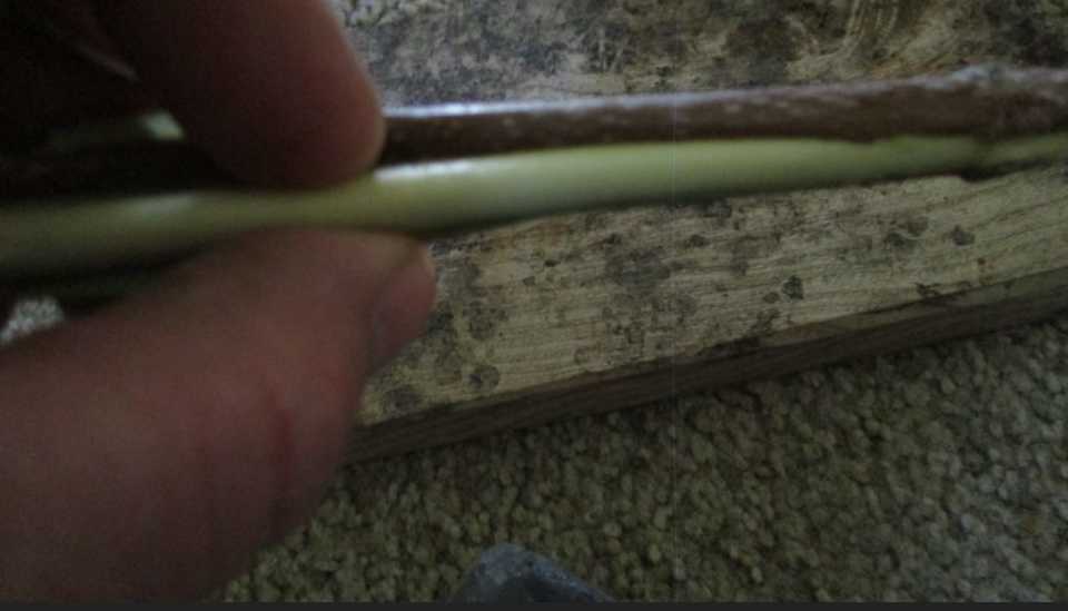 Beautiful Basketry From Maple Suckers: Minnesota Crafting - HubPages