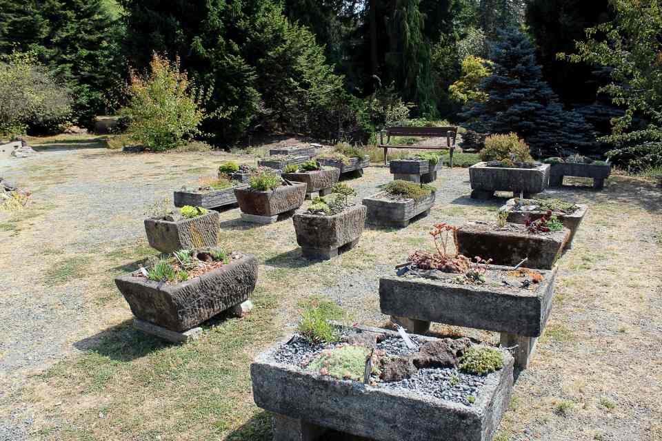 Exploring the Lovely UBC Botanical Garden in Vancouver - HubPages