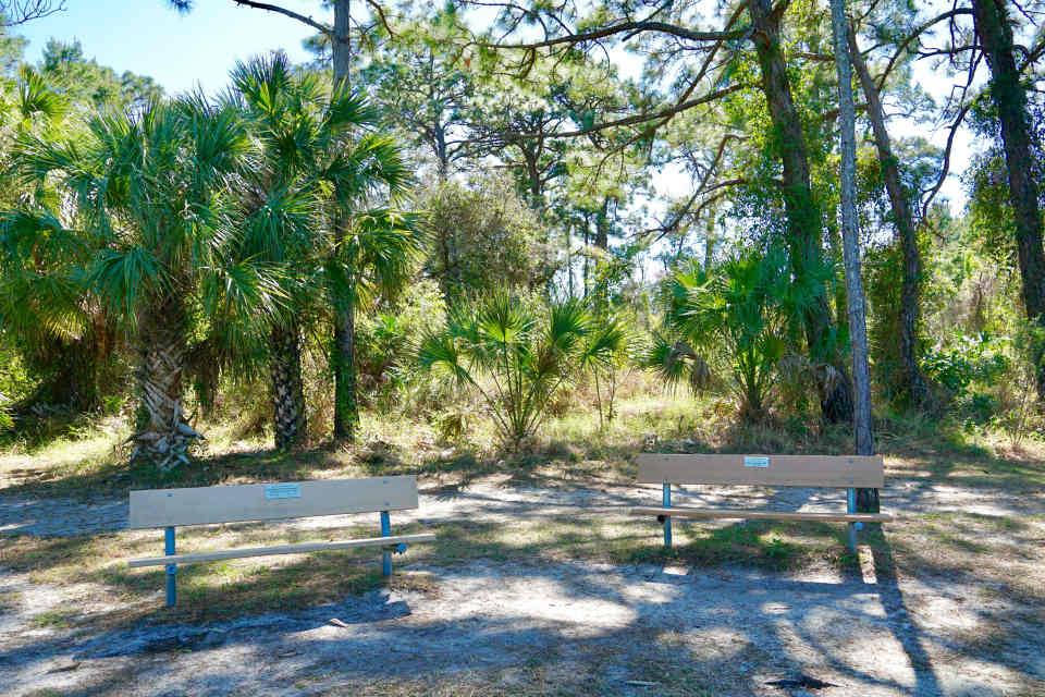 Visiting Key Vista Nature Park: Holiday, Florida - HubPages