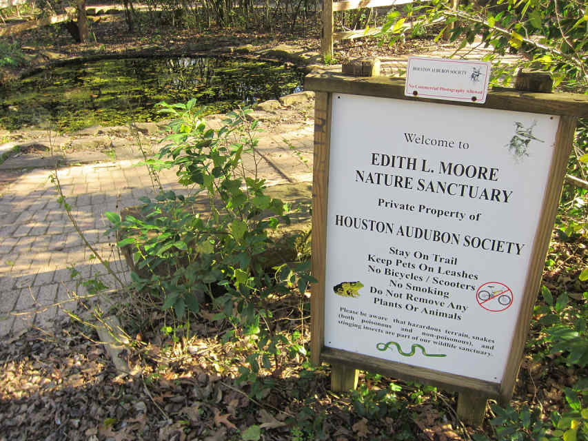 Edith L. Moore Nature Sanctuary Photos and Information - HubPages