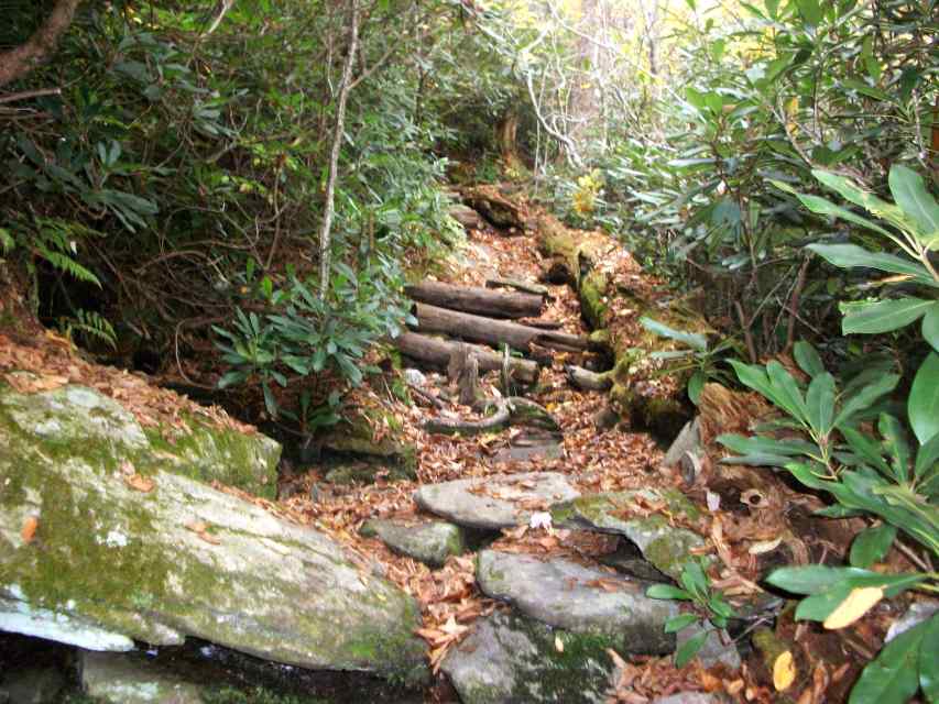 Hiking the Tanawha Trail - Blue Ridge Parkway, NC - HubPages