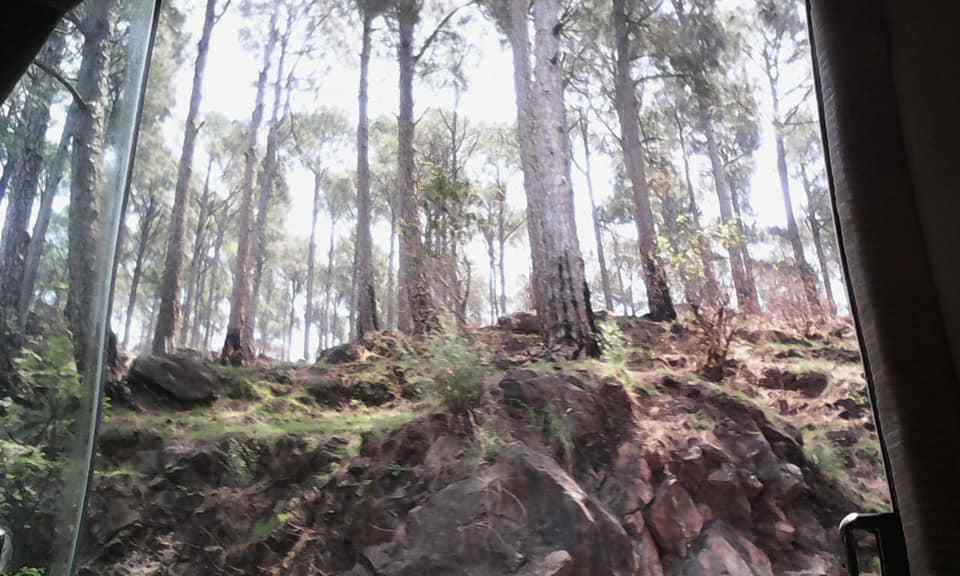 An Adventurous Botany Field Trip to Khanaspur: Ayubia - HubPages