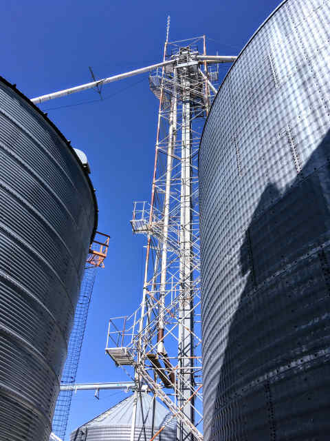 How to Build a Grain Bin Ladder Safety Cage (Includes Safety Concerns ...