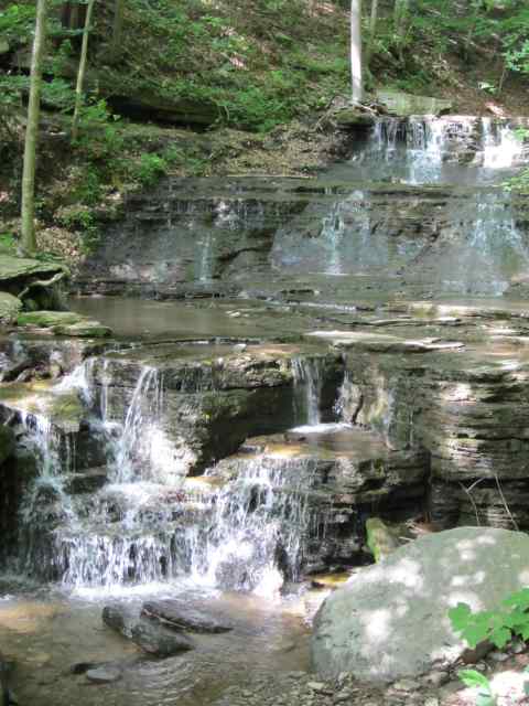 Turkey Path in Leonard Harrison State Park, Wellsboro, PA - HubPages