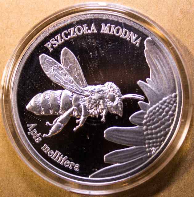 Honey Bee Coin Collection - HubPages