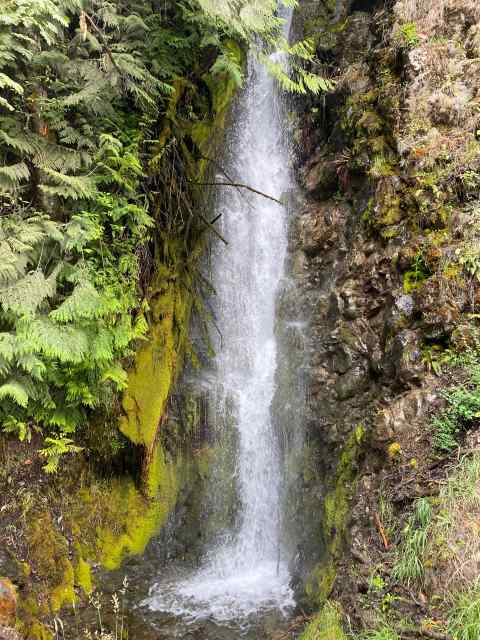 My Summertime Destination: Staircase at the Olympic National Park ...