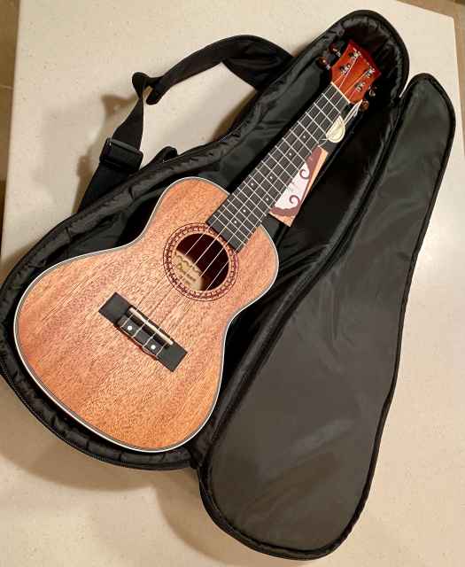 Review of Donner Concert Ukulele - HubPages