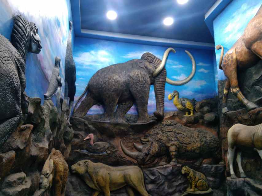 Museums of Trivandrum (Part -1) - HubPages
