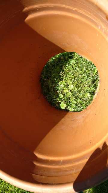 Broken Bottom Garden Pot Ideas and Other Plant Containers for Your ...