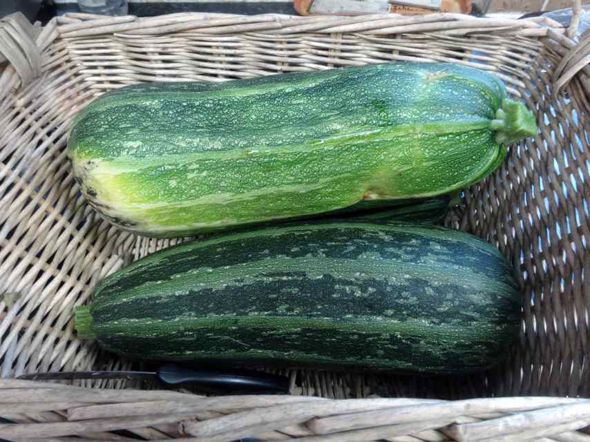 Vegetarian Stuffed Marrow (Courgette) Recipe - HubPages