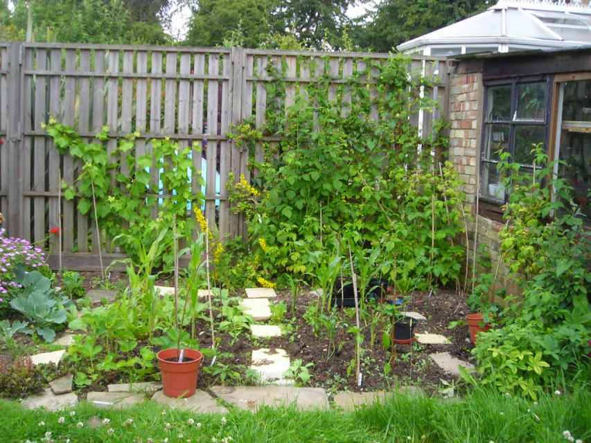 How to Make a Garden Vegetable Plot Cheaply - HubPages