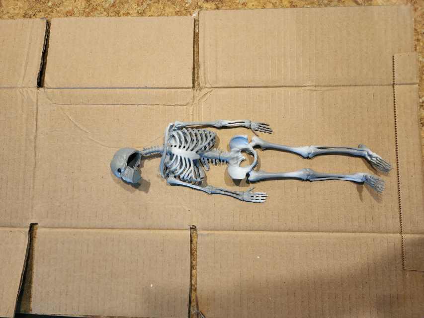 DIY Cardboard Coffin and Skeleton Scene - Holidappy