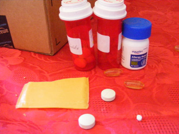 13 Tricks to Give Your Dog Pills (a Guide for Difficult Cases ...