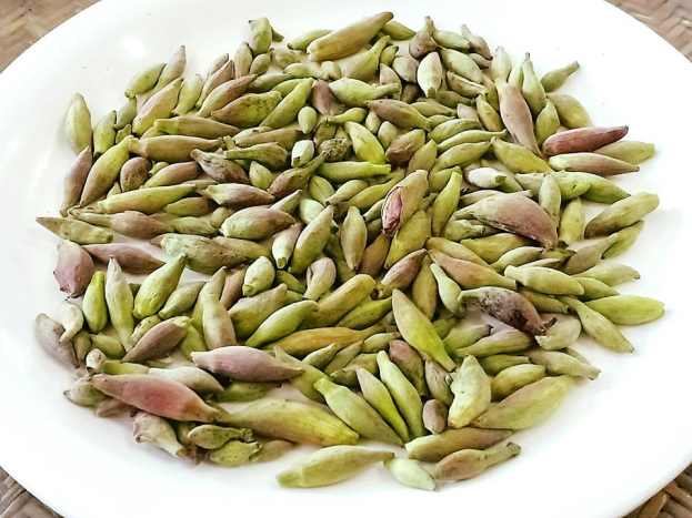 Kachnar or Orchid Tree and Its Health Benefits - HubPages