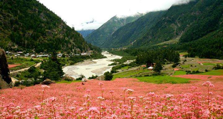 The Kinner Tribe of Kinnaur - HubPages