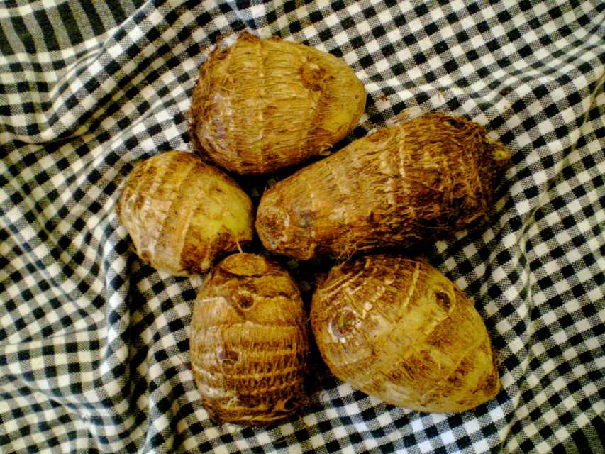 Taro Root - Colocasia or Arbi and Poi - Nutrition and Health Benefits ...