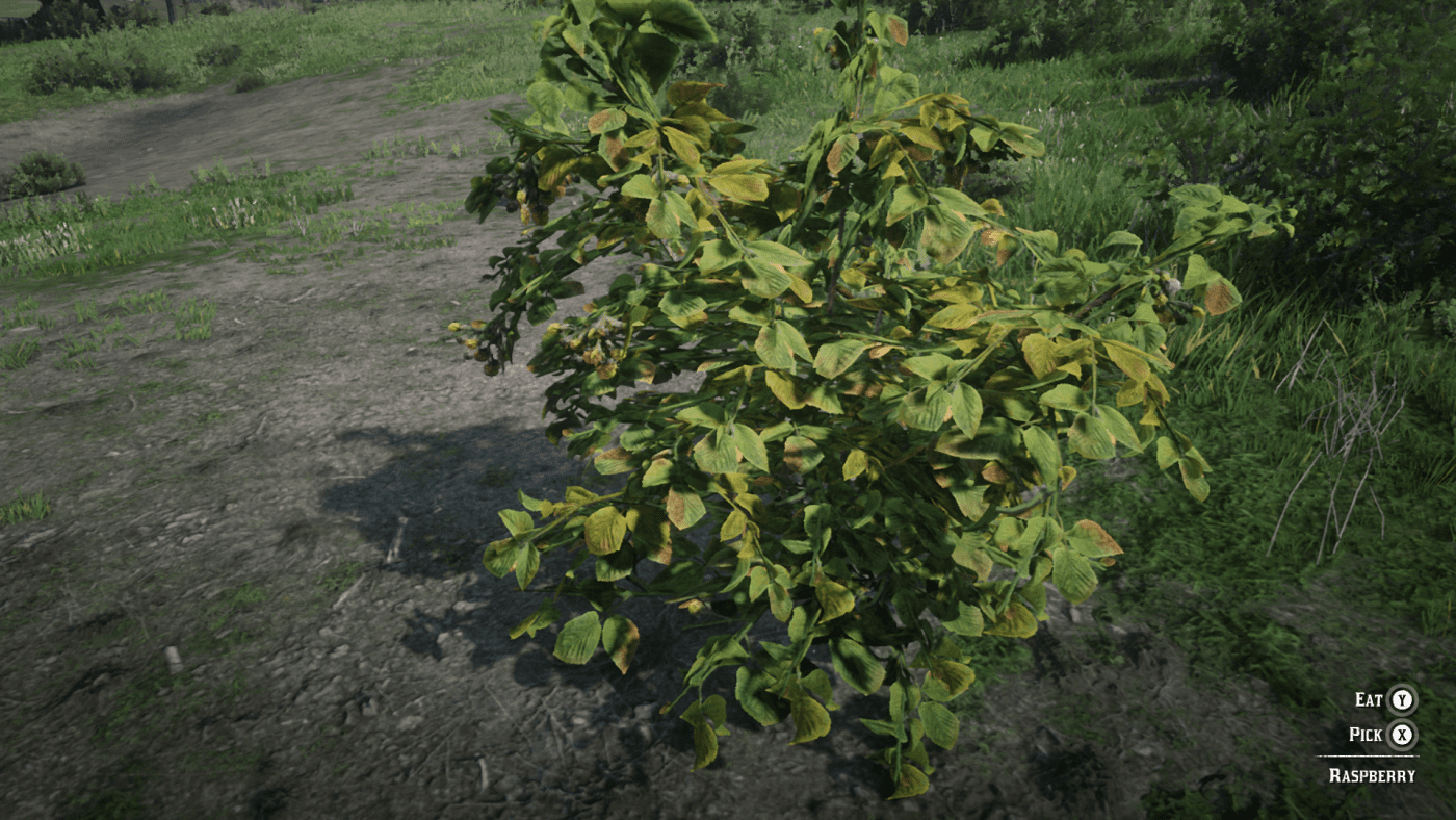 "Red Dead Redemption 2": Herbalist Challenges - HubPages