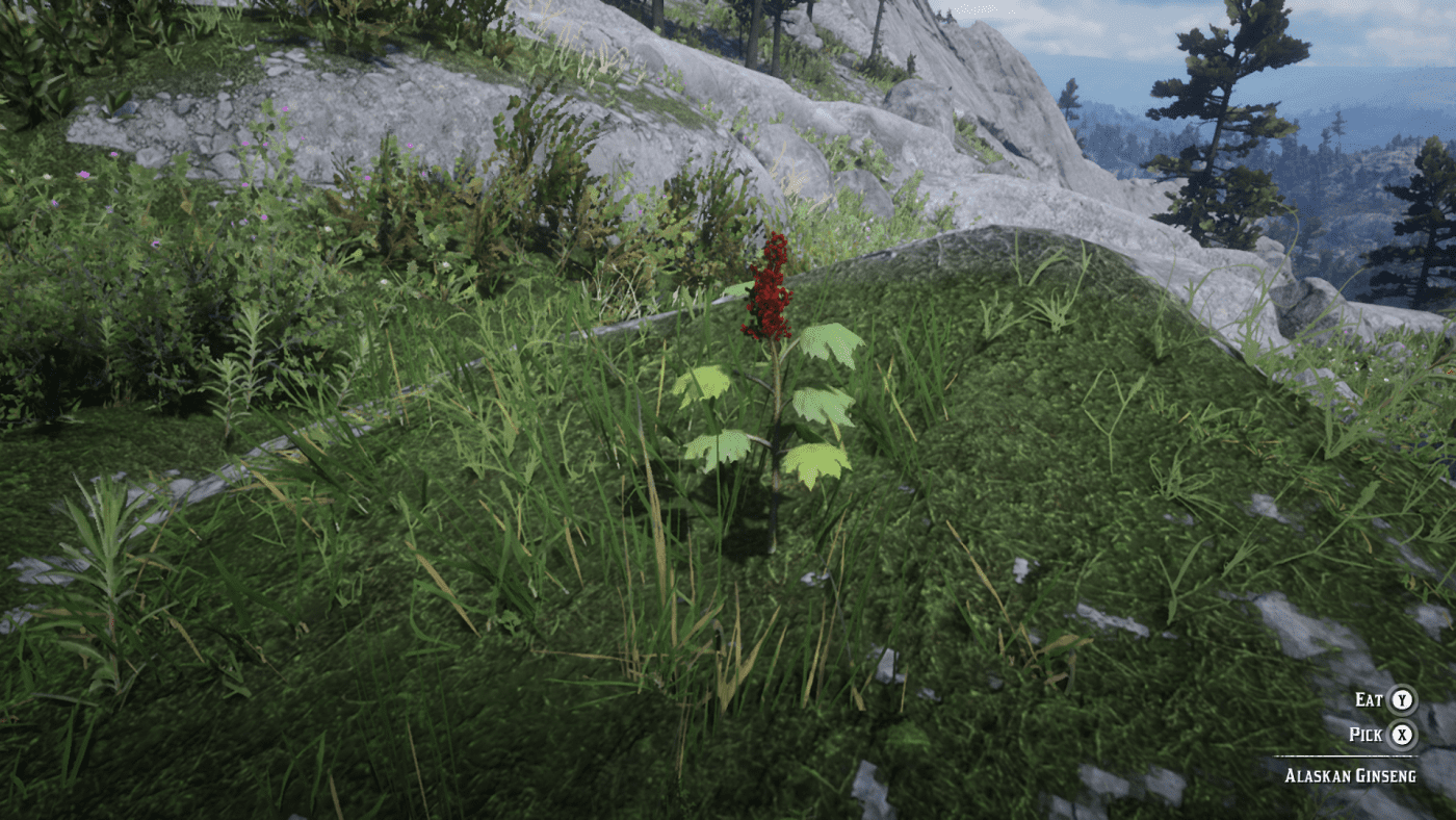 "Red Dead Redemption 2": Herbalist Challenges - HubPages