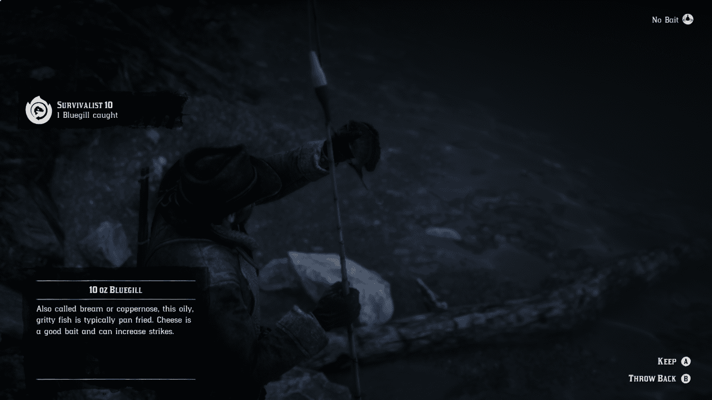 "Red Dead Redemption 2": Survivalist Challenges - HubPages