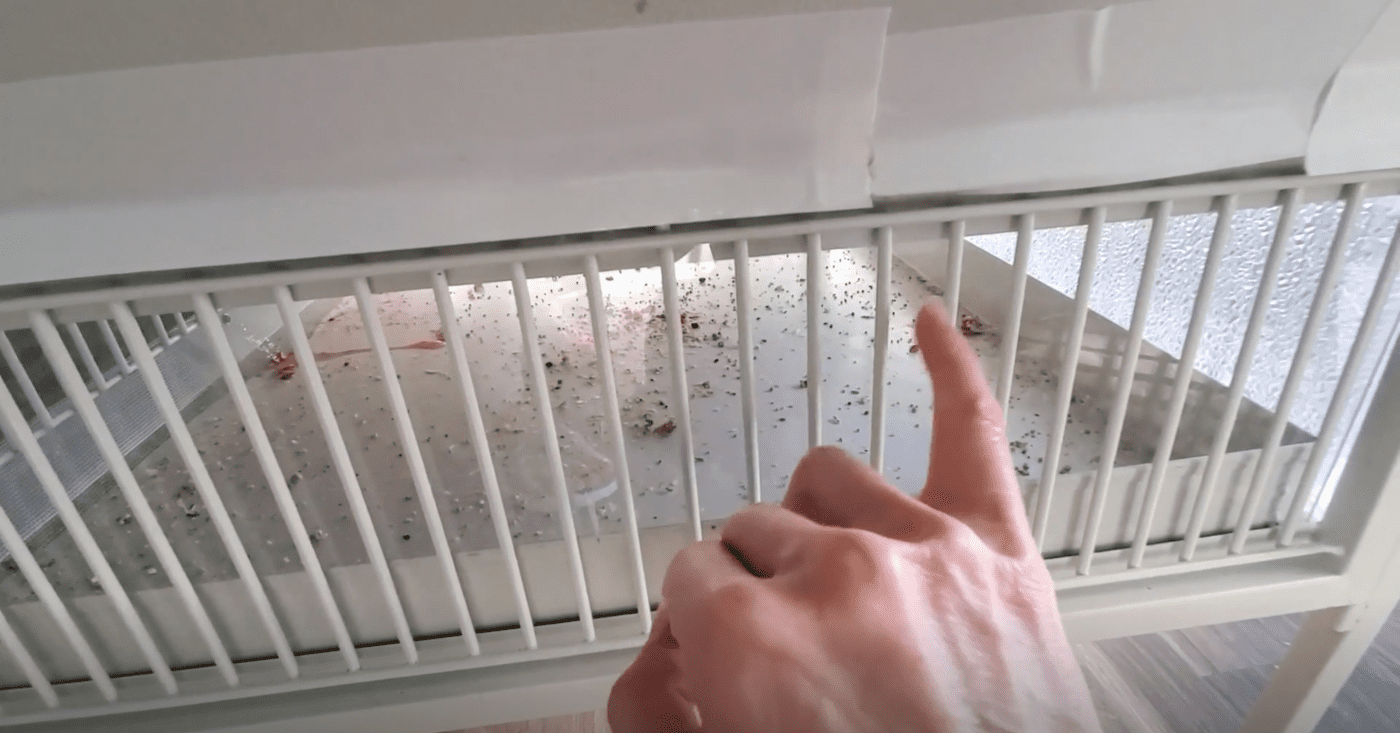 Easy Hacks to Help Mess-Proof Your Bird Cage! - PetHelpful