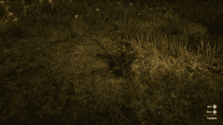 "Red Dead Redemption 2": Herbalist Challenges - HubPages