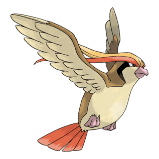 Top 10 Early-Obtained Flying Pokémon - HubPages