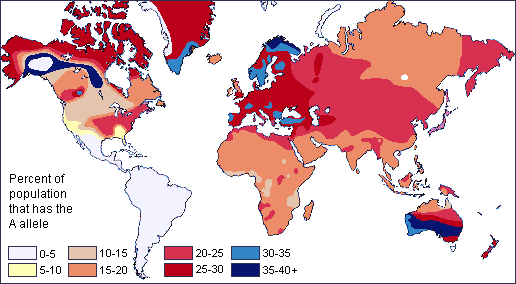Blood Types: History, Genetics, and Percentages Around the World ...