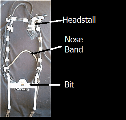 Equestrian Words - HubPages