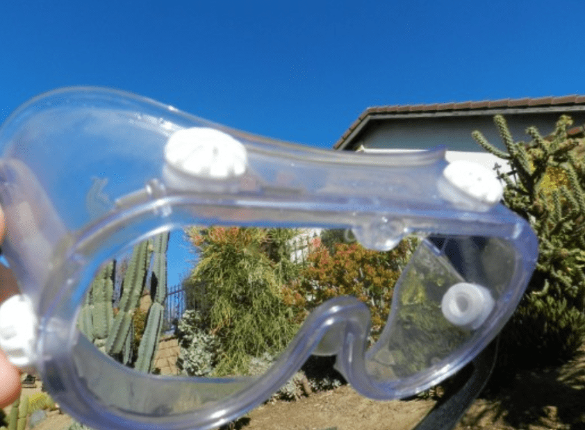 How to Care for Firestick Succulents - Dengarden