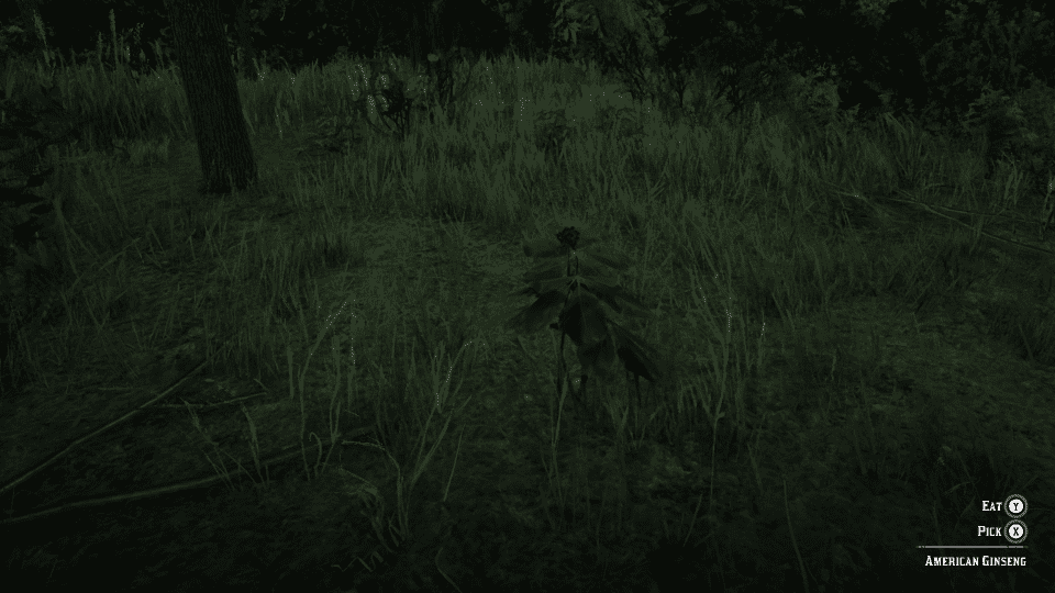 "Red Dead Redemption 2": Herbalist Challenges - HubPages