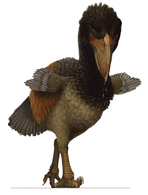 Terror Birds: Apex Predators of the Cenozoic - HubPages
