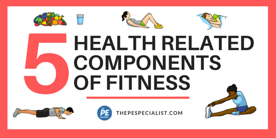5 health related fitness components - HubPages