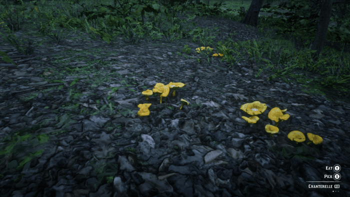 American Flowers Rdr2 - Infoupdate.org