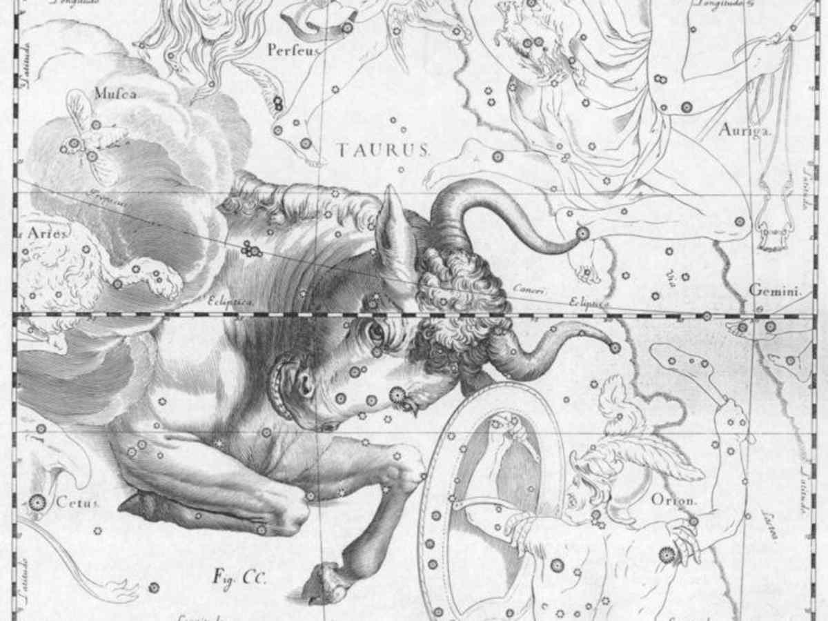 Nikola tesla western zodiac sign 60 photos - Astrologytoyou.com