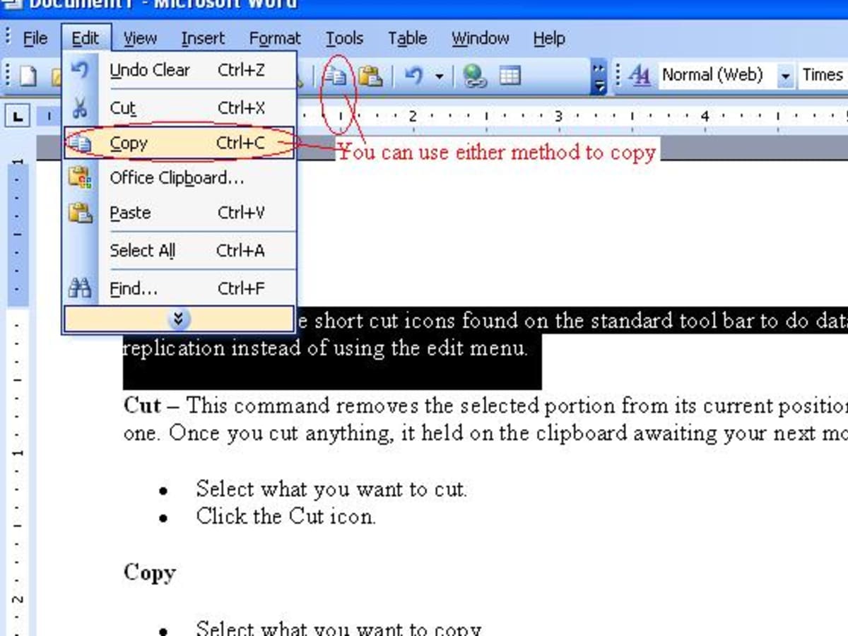 Op ta Sa Medailista Protestant C Clipboard Formatting Pr stre ia Priemer Pickering
