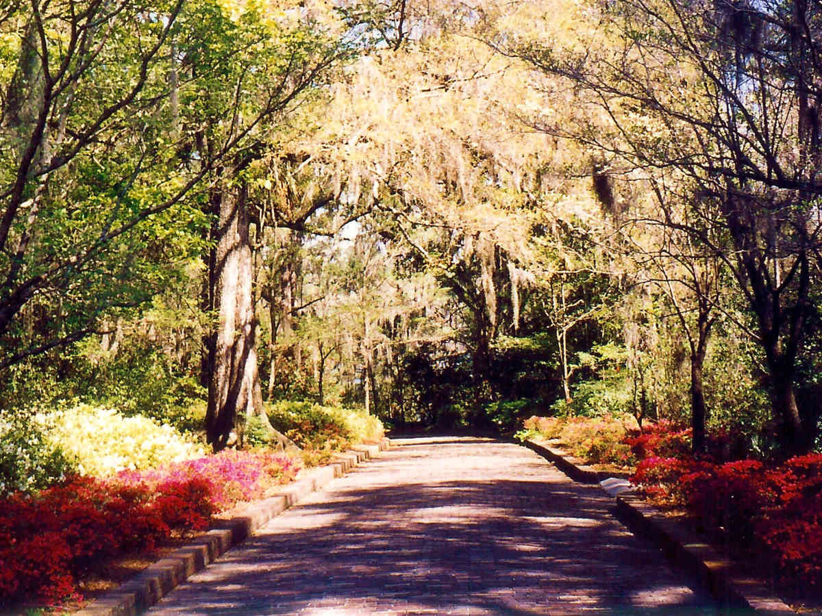 Maclay Gardens Map | Fasci Garden