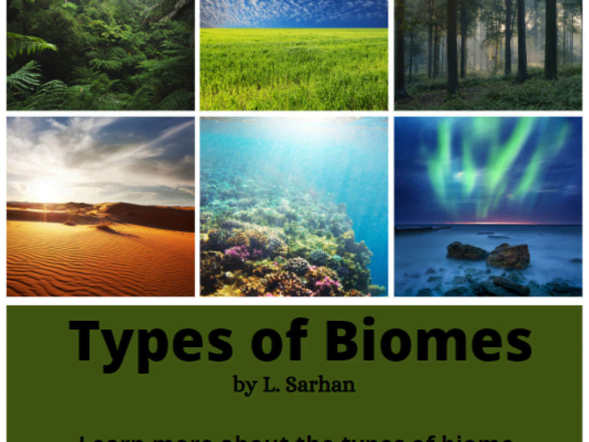 forest ecosystem types