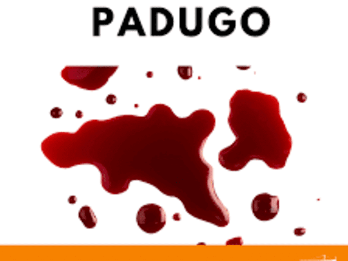 Oro Plata Mata Nada Stairs Clipart