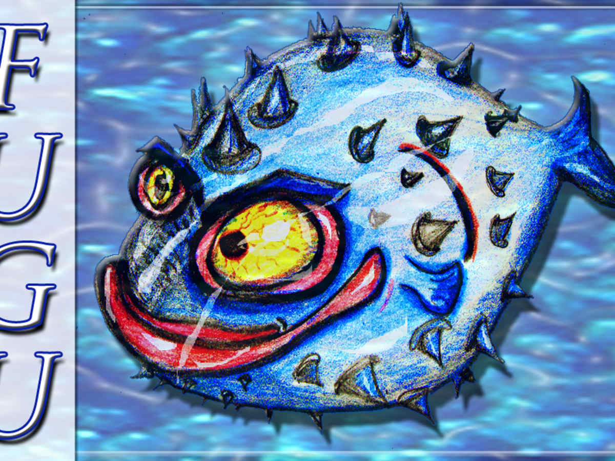 How To Draw A Realistic Puffer Fish